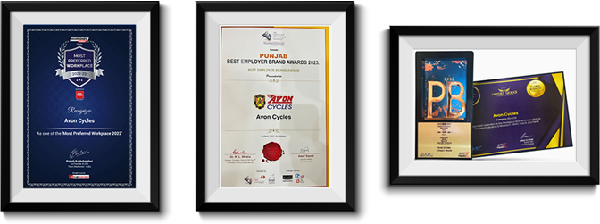 International Business | Avon Cycles Export Reach and Capabilities