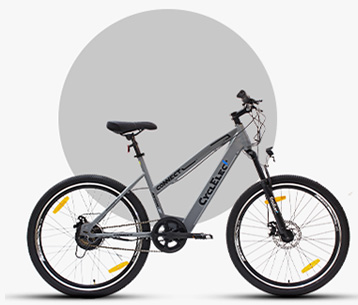 International Business | Avon Cycles Export Reach and Capabilities